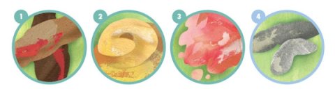 Feci nel cane: tipo di cacca, forma, colore e consistenza